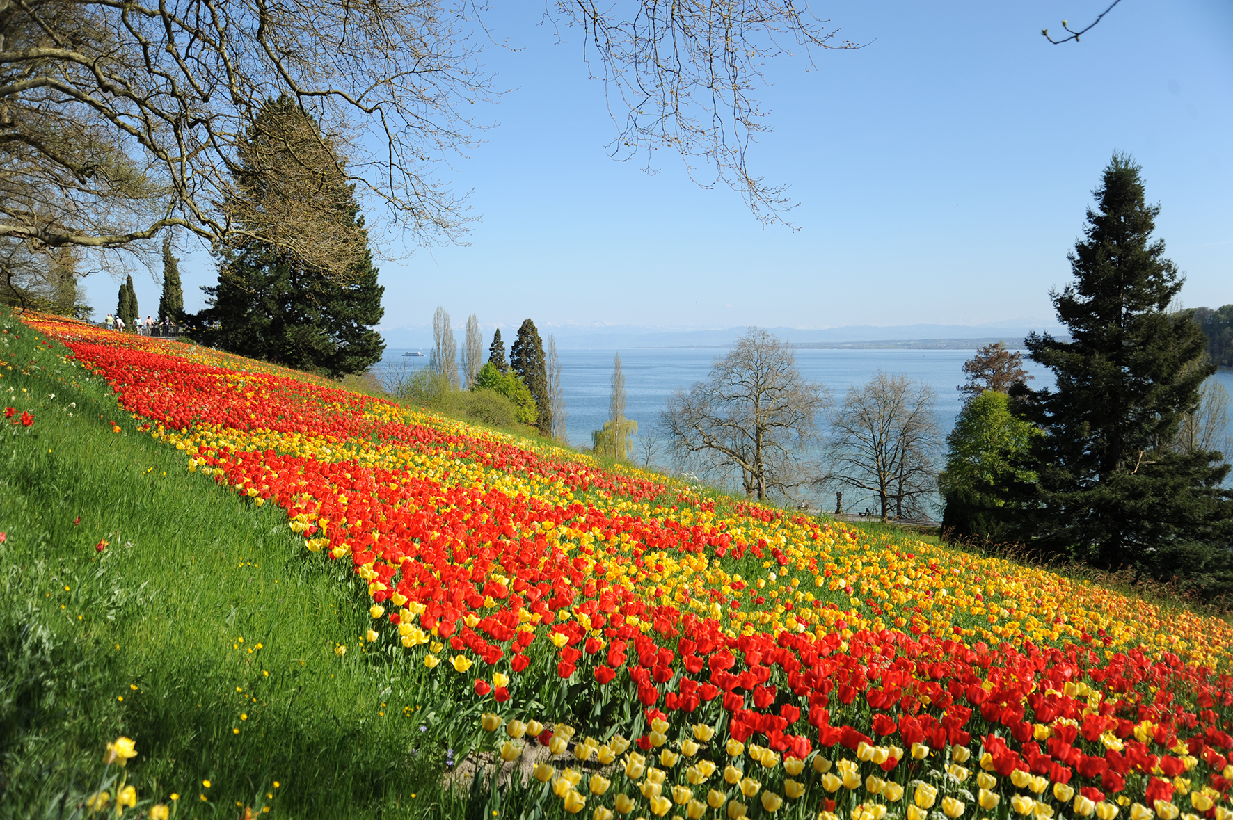 Insel Mainau - Gruppenreisen mit groupedia